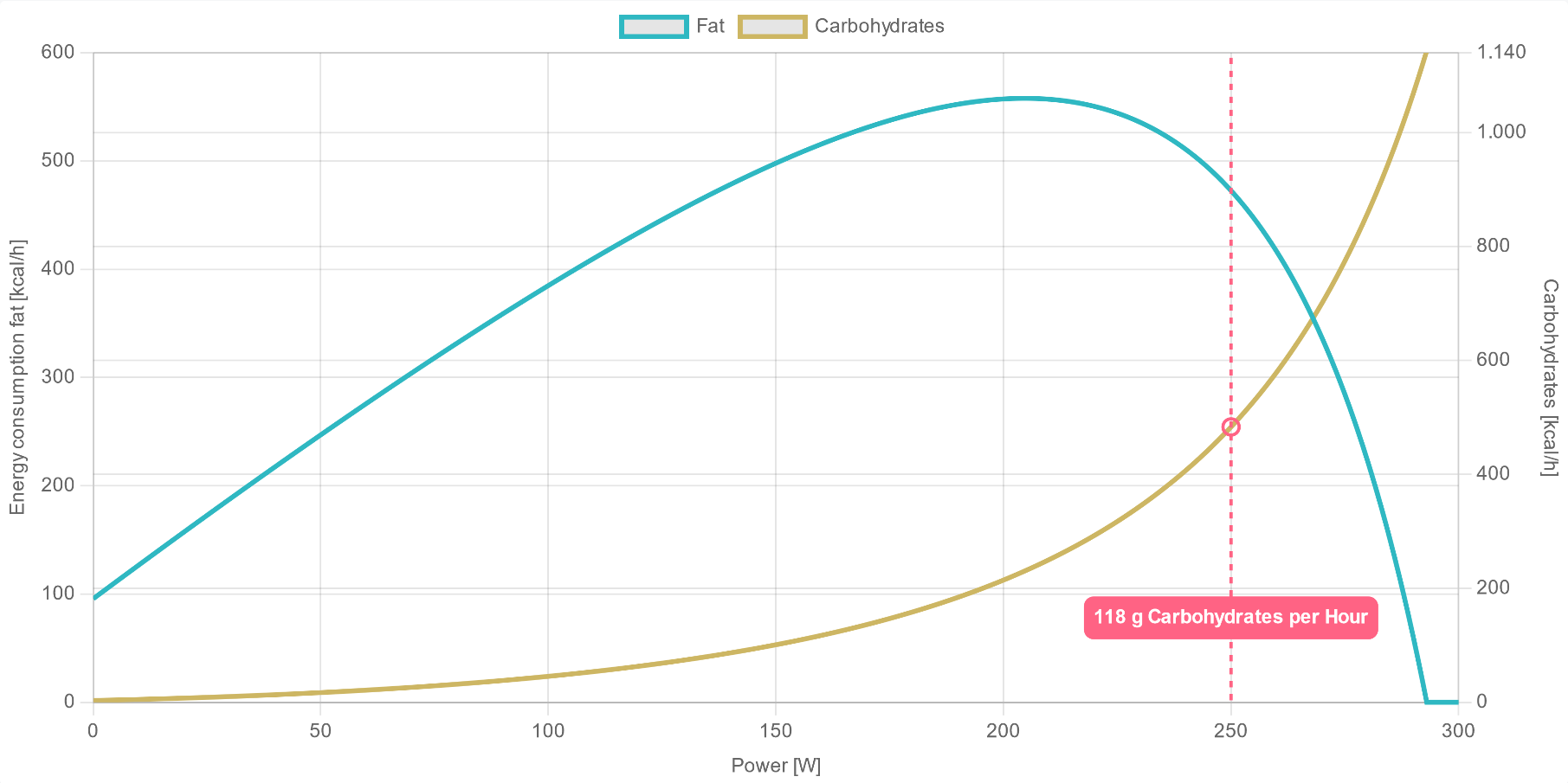 Glycogen Stores » AI DIAGNOSTICS